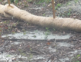 Erosion Control Logs & Wattles - Weed Free, Wood Mulch | EcoWattle